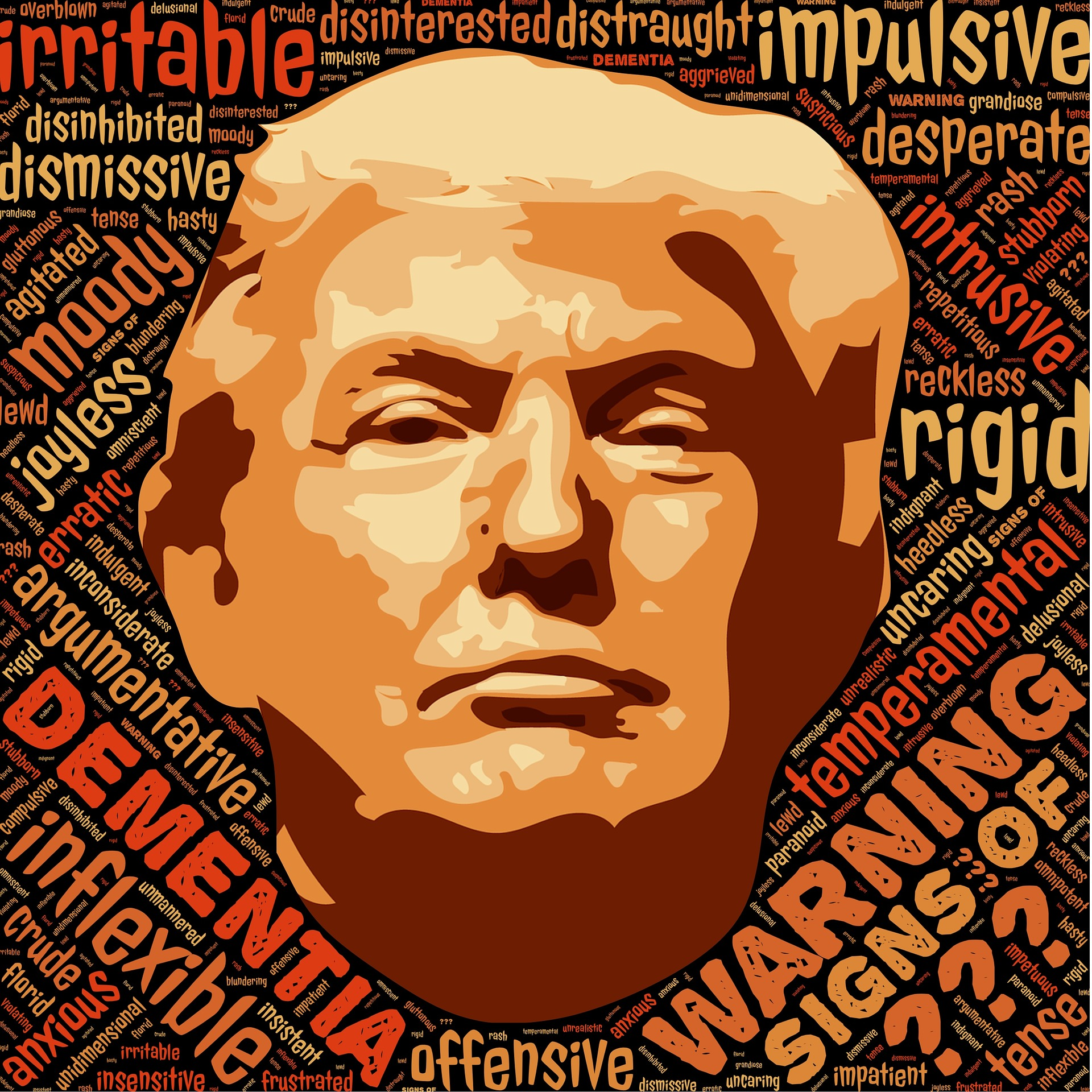 What, exactly, is wrong with Donald Trump?