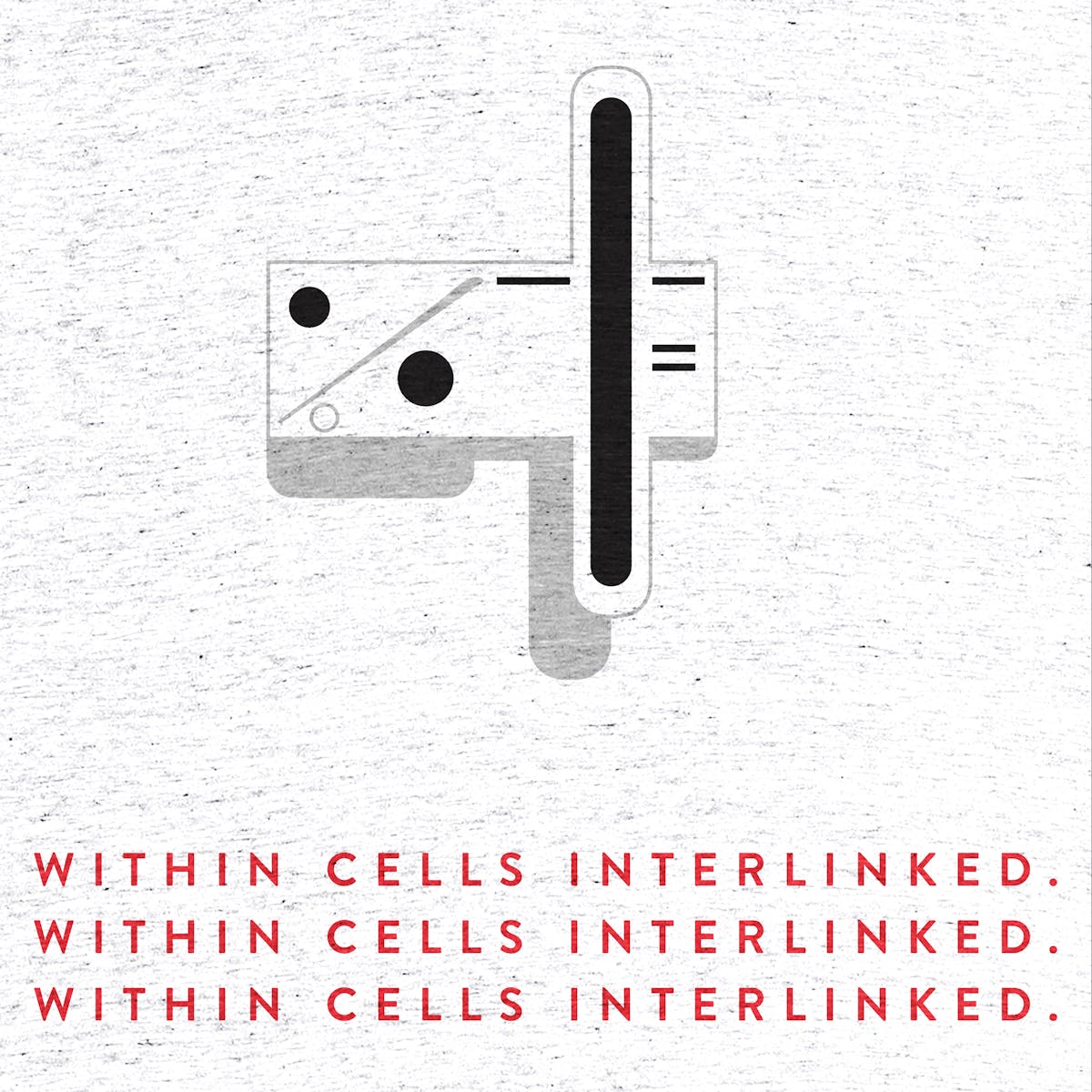 Interlinked: How Does it Feel To Be a Cell Within Cells Within Cells
