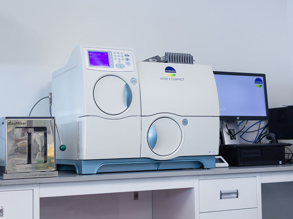How Does Vitek 2 Compact Work: Principle and Procedure