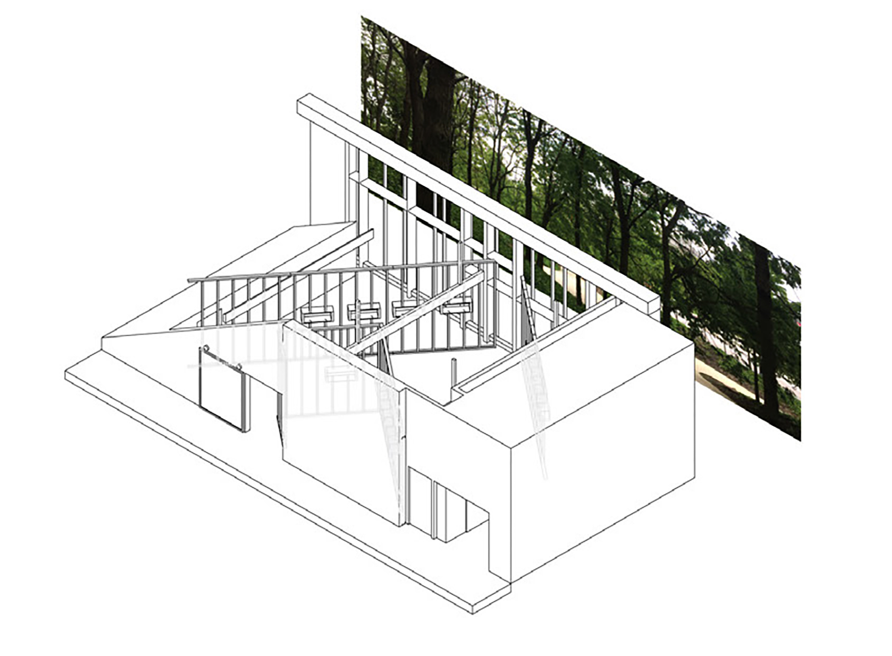 The Elusina Lazenby Experimental Forest