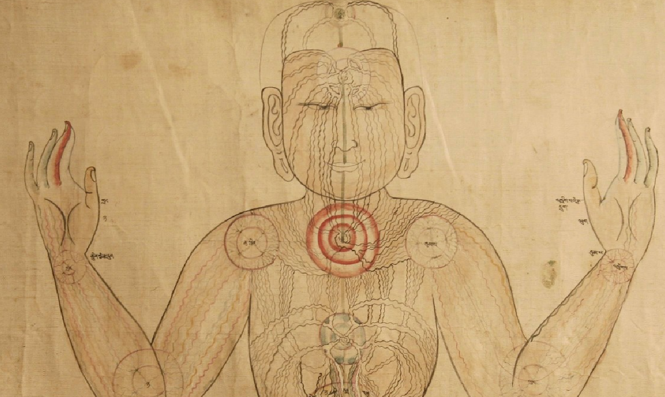 The Nāḍī System of Kālacakra Tantra: Six Primary Chakras and Twelve ...