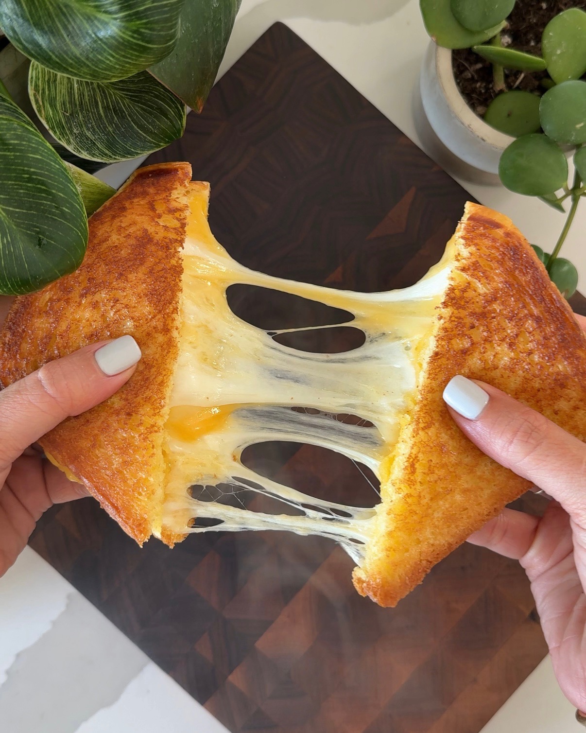 Michelin Star Grilled Cheese - by Maxine Sharf