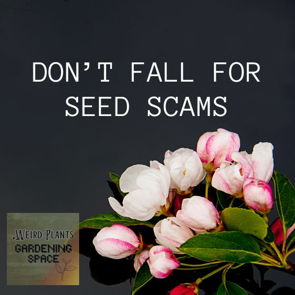 Don't Fall For Seed Scams - by Val Garner