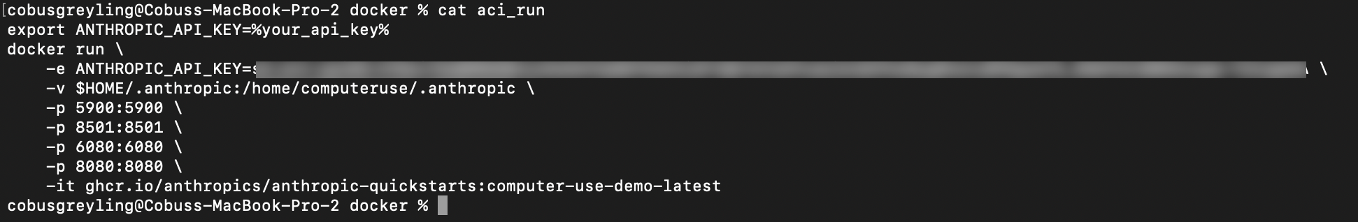 Anthropic ACI (AI Agent Computer Interface)