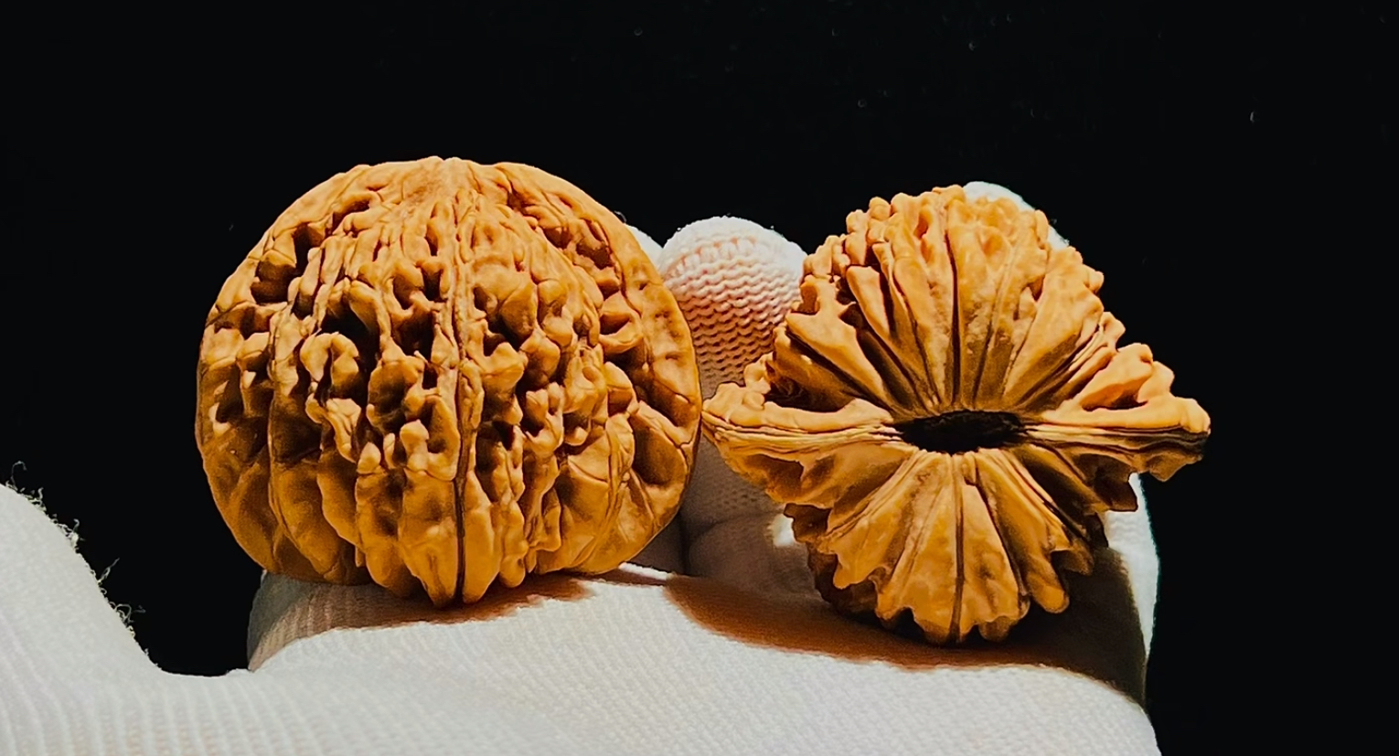 Nuts in the Palm - by JingYu - Old North Whale Review
