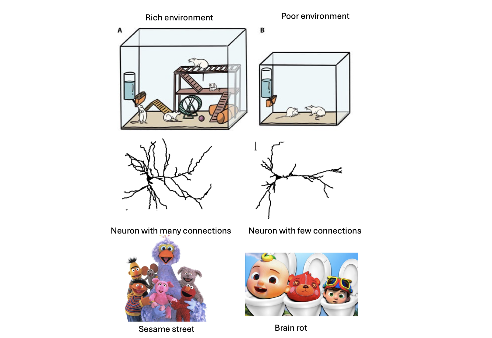 Brain Rot Does Not Exist, But It Is a Real Danger