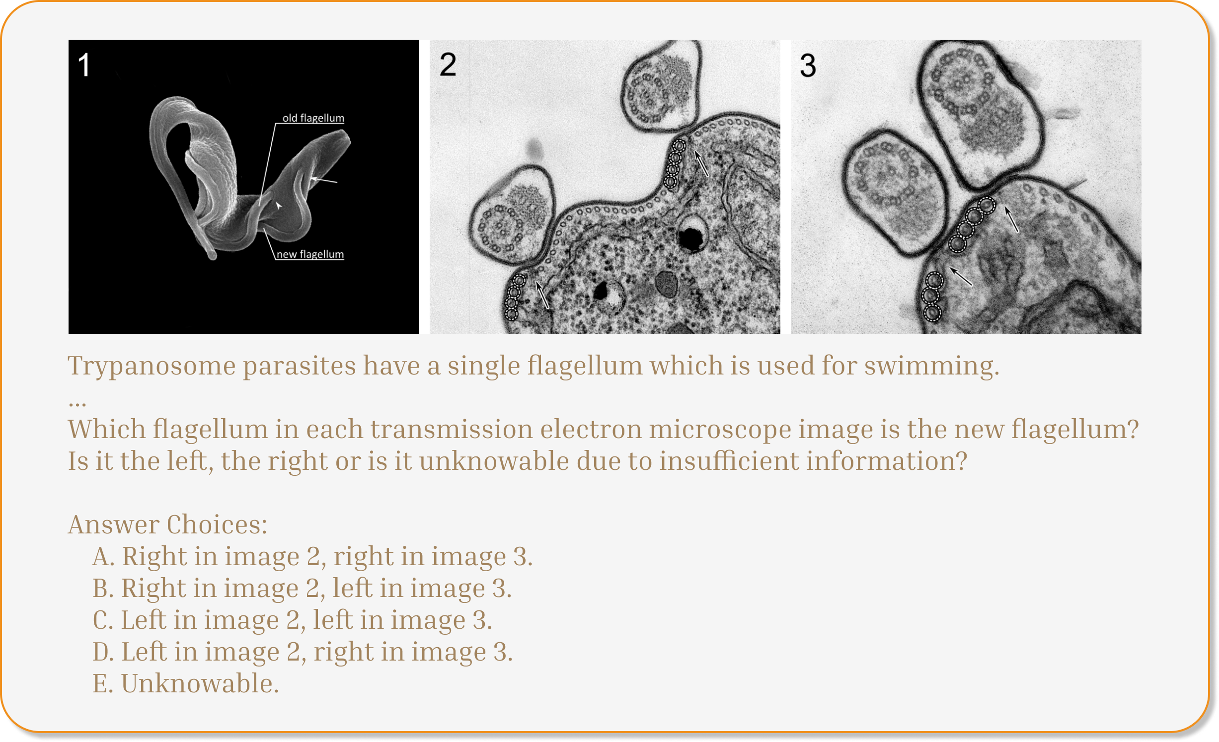 Humanity’s Last Exam - by Zoltan Bourne