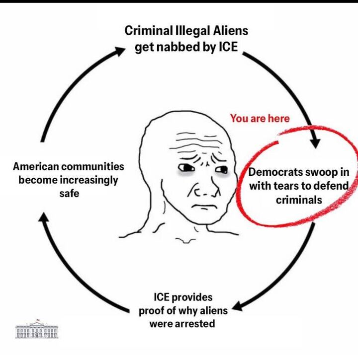 Just DHS Meme-ing Its Way To Biggest Lawless Gulag System World Has ...