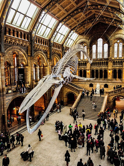 Tips: How to Visit a Museum - by Susan Marie Ward