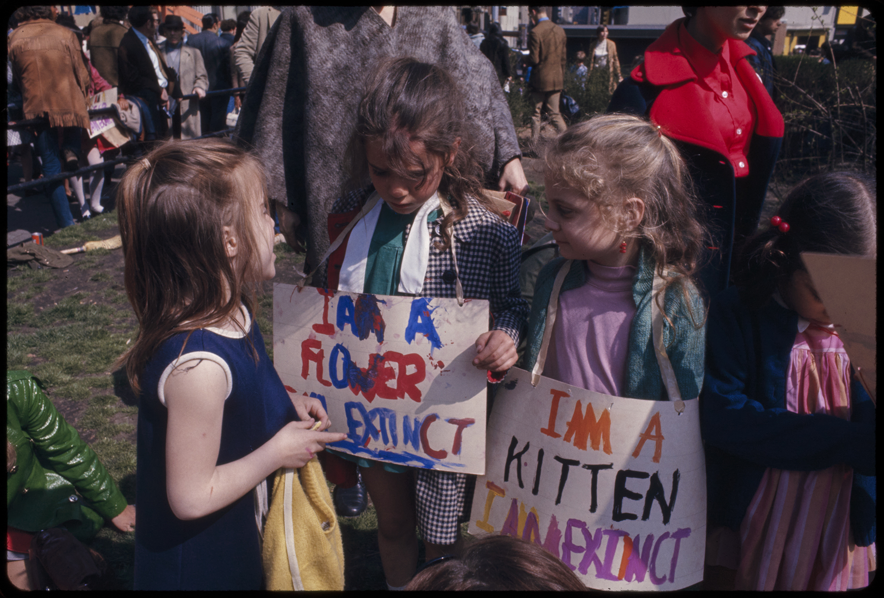 The First Earth Day 1970 - by Laura McLaws Helms