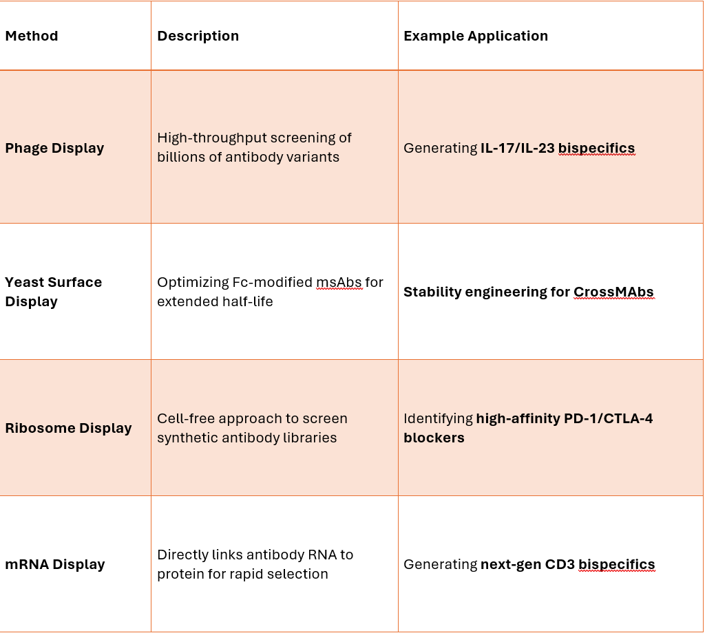 Multispecific Antibodies (msAbs), A Complete Overview