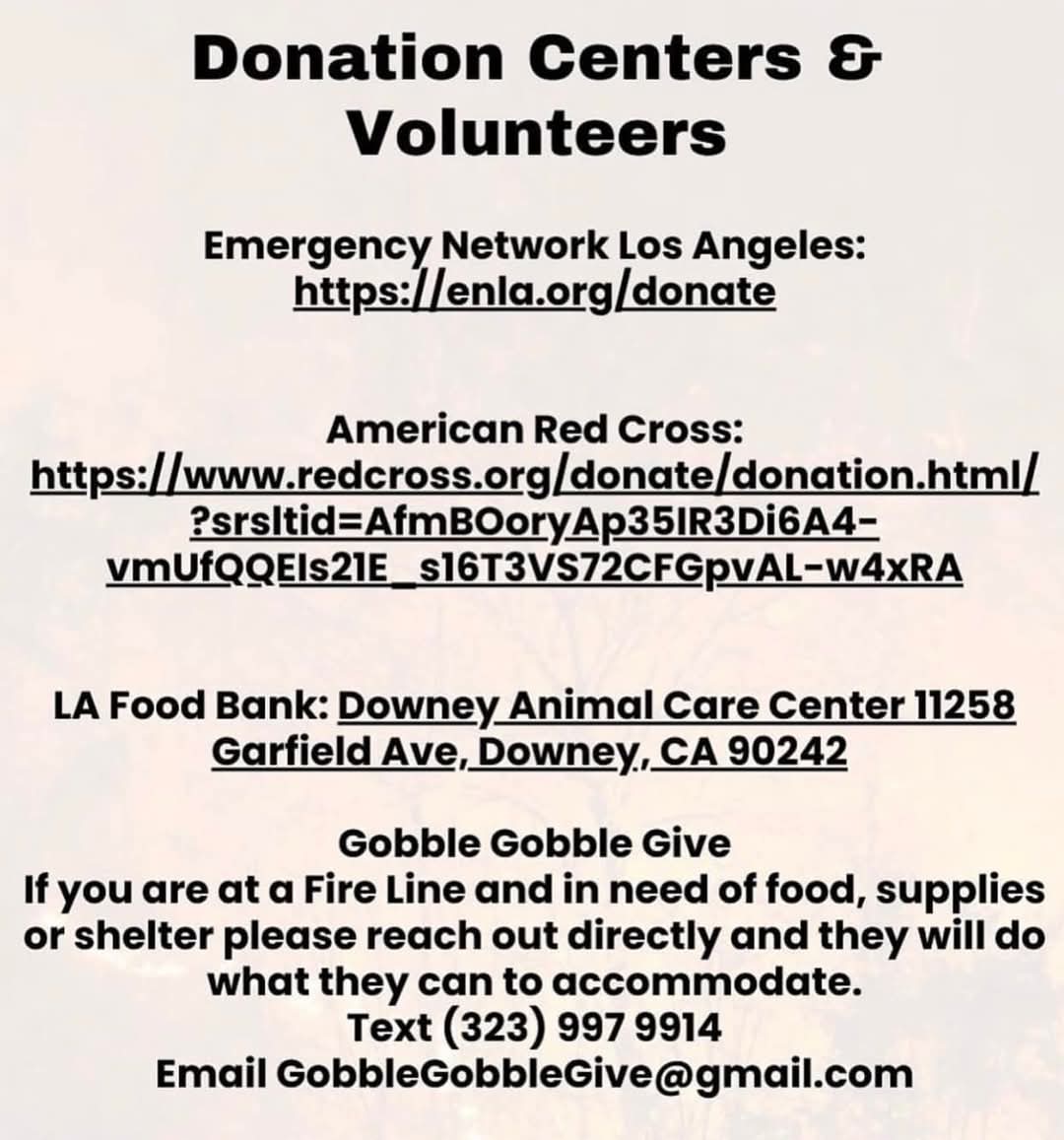 Rogue Art Historian on Substack: "Given the immense devastation caused by the recent fires in ...