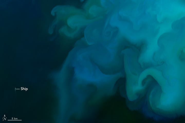 All the colours of the sea - by Hannah Booth