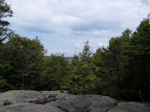 Hiking Arcadia Management Area in Rhode Island - by Sharon