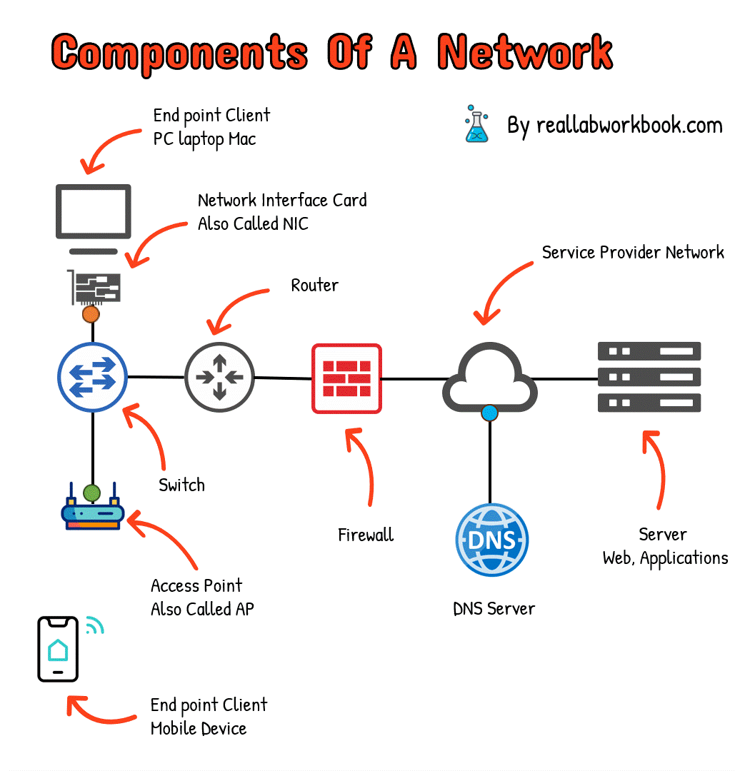 Components Of A Network - by Rose White - Real Lab Workbook