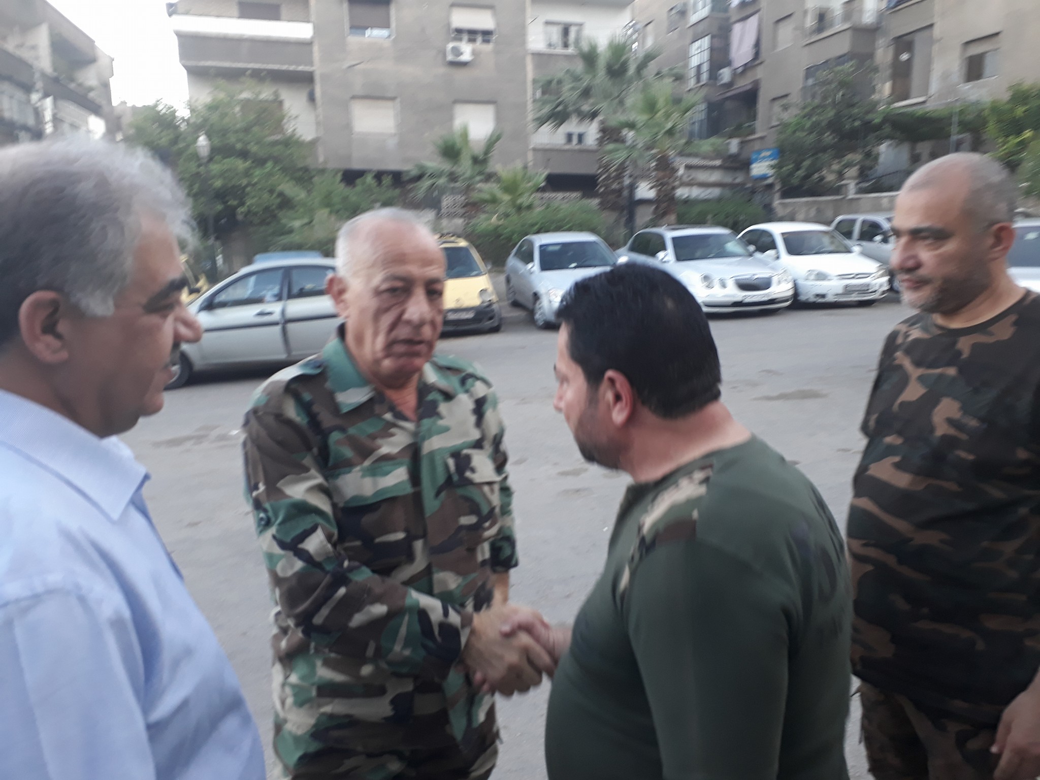 The Shabiha of Rukn al-Din - by Gregory Waters