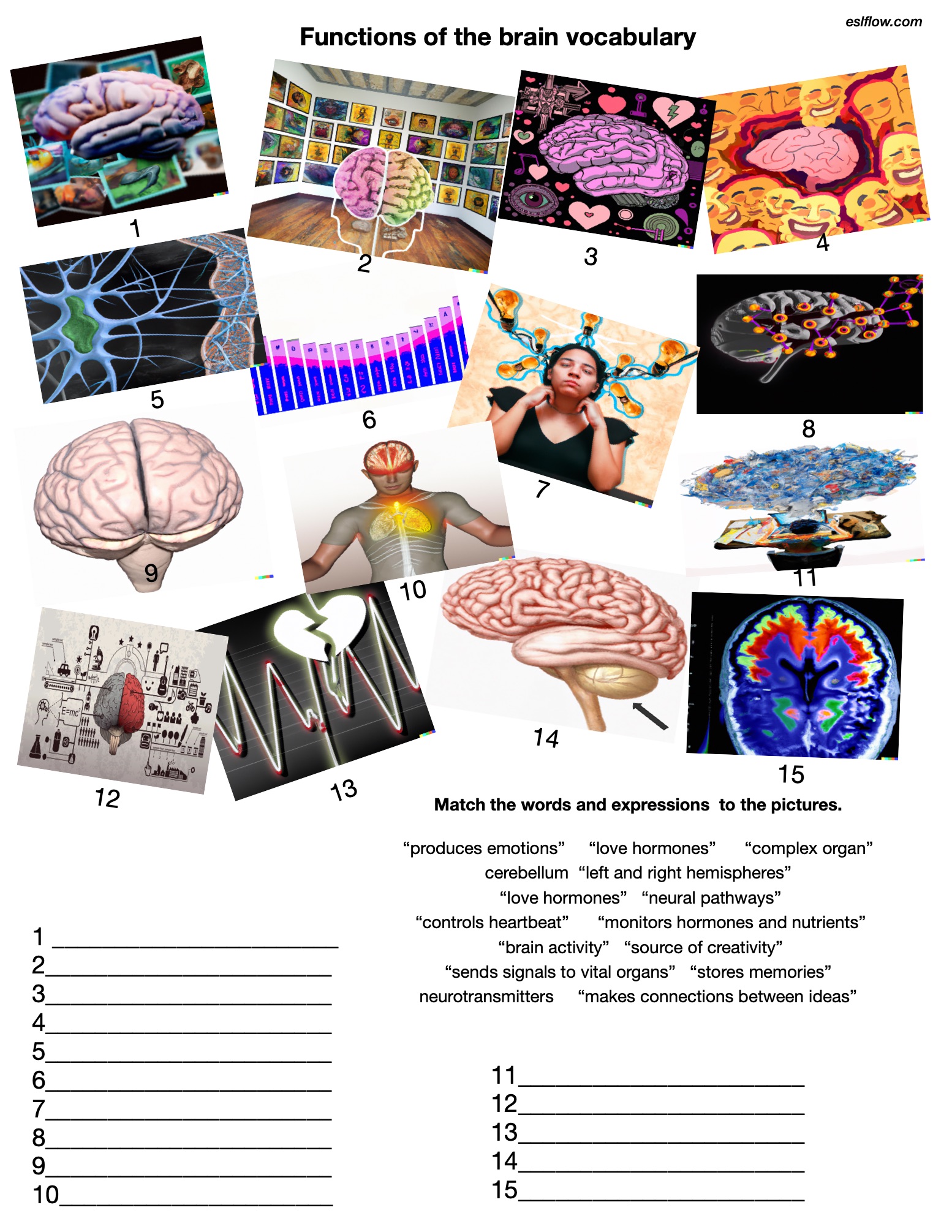 Functions of the brain (updated) - by Peter Snashall