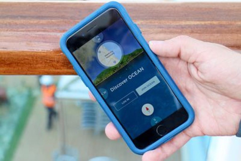 Everything You Need to Know About the Princess Ocean Medallion