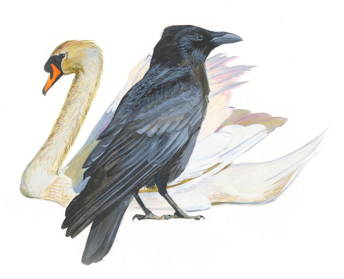 #20 The Crow - by Missy Dunaway - Birds of Shakespeare