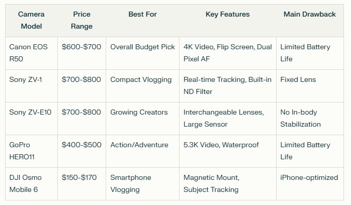 Top 5 Vlogging Cameras for Beginners Under $800 (2025)