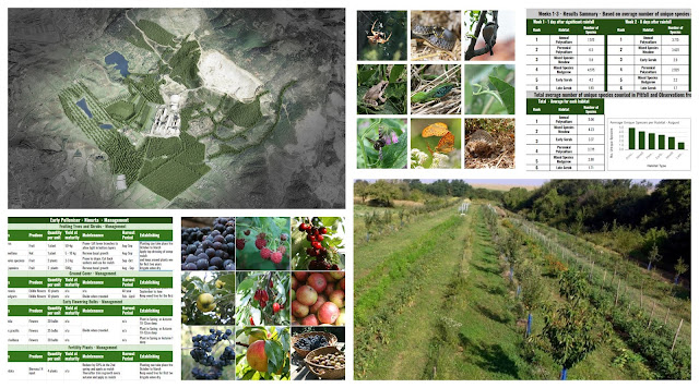 Nitrogen Fixation - How it Works and a Look at Some Super Nitrogen ...