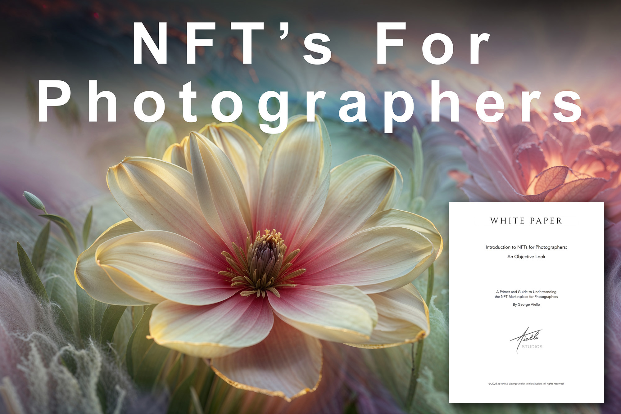 Introduction to NFTs for Photographers: An Objective Look