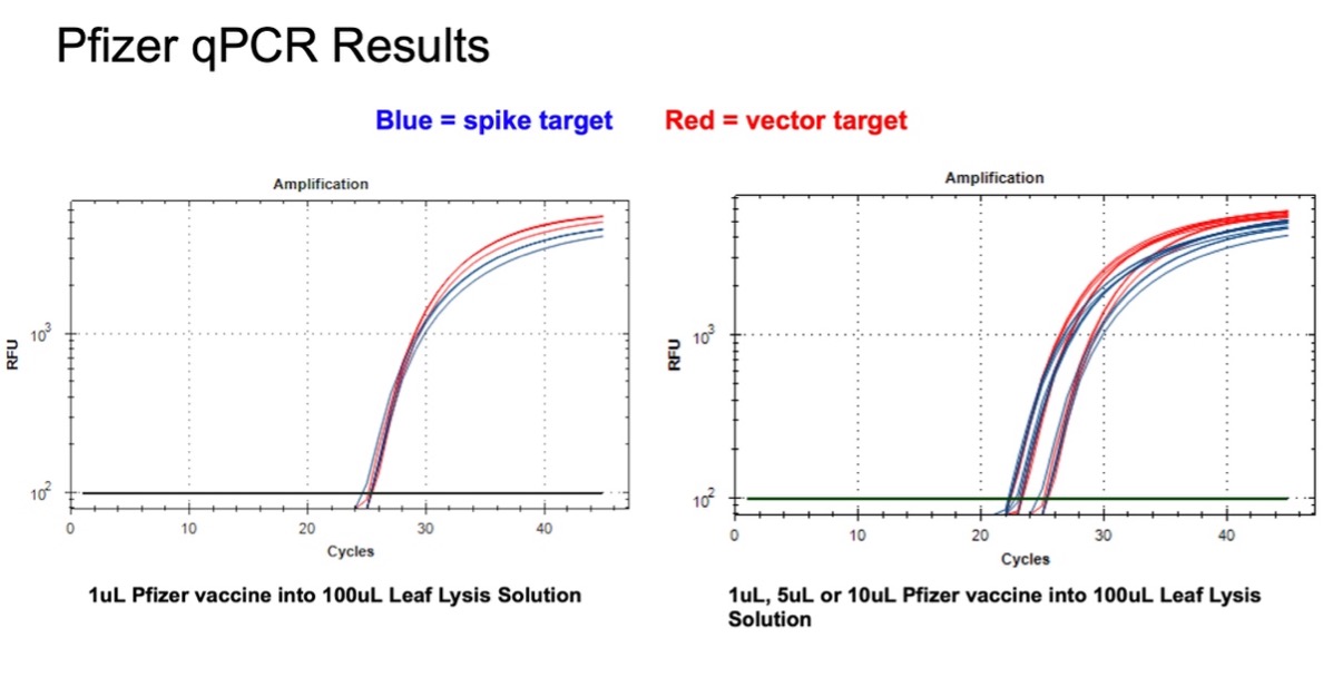 Sequencing of bivalent Moderna and Pfizer mRNA vaccines reveals ...