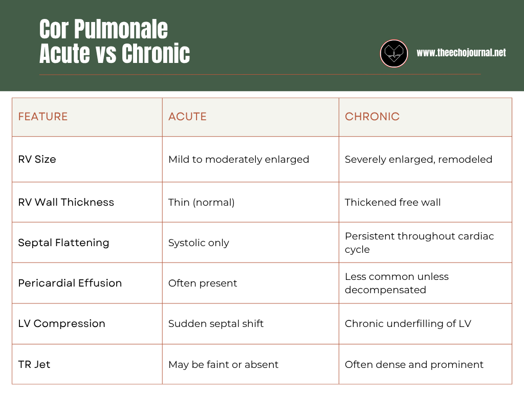 Cor Pulmonale on Echo: What Sonographers Need to Know