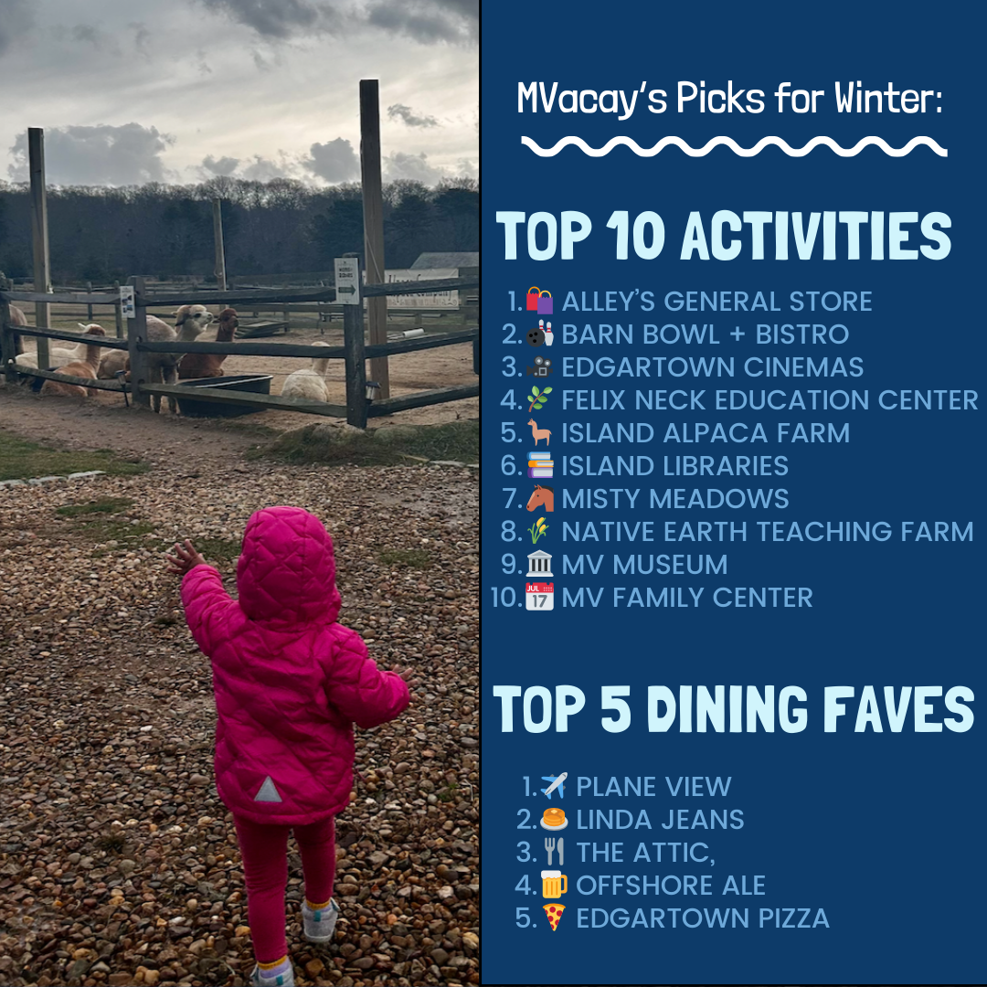 📅 Kid + Toddler-Friendly MV Guide: Off-Season Edition (2025)