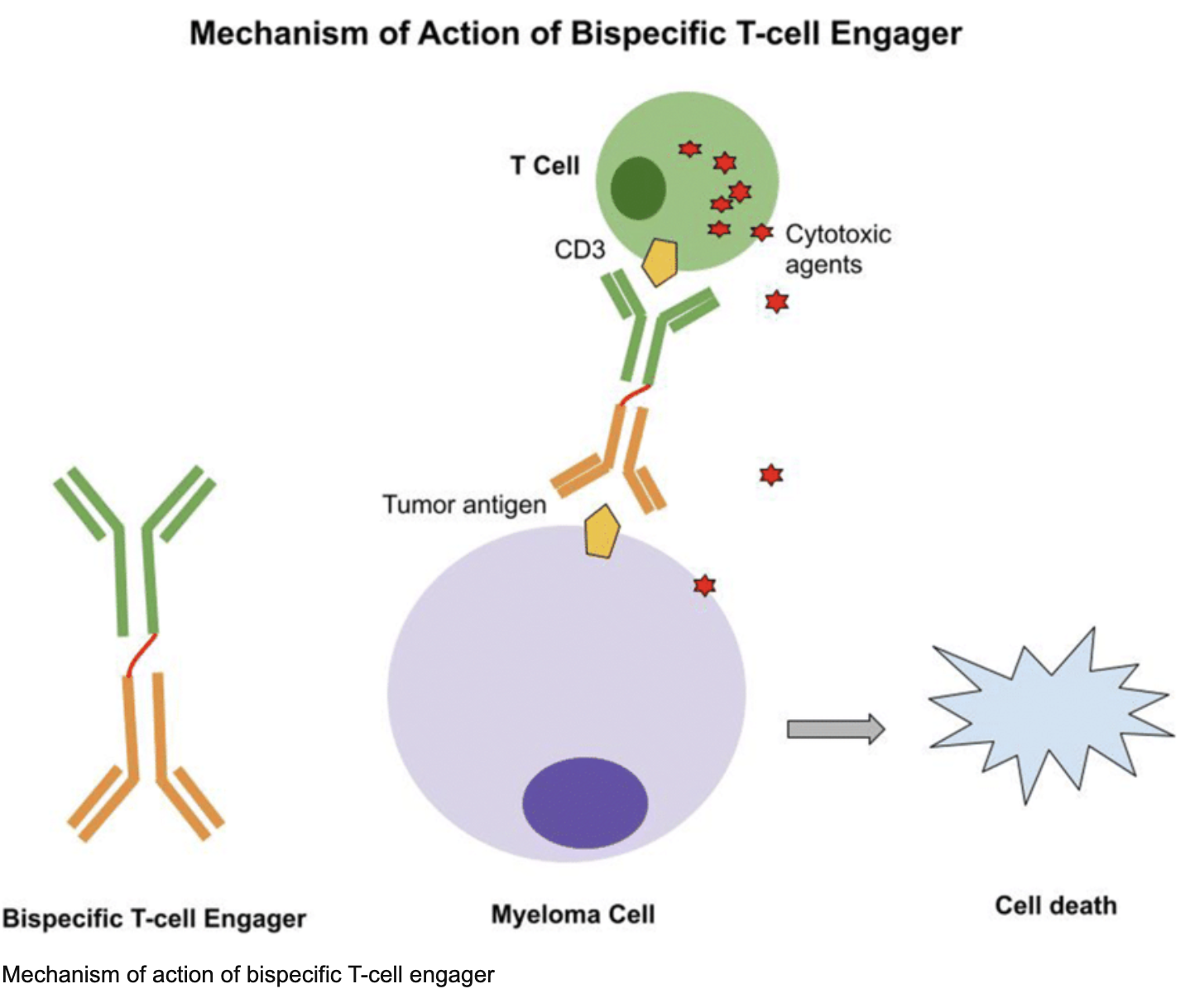 Abcellera: the Palantir of Biotech - by Antonio Linares