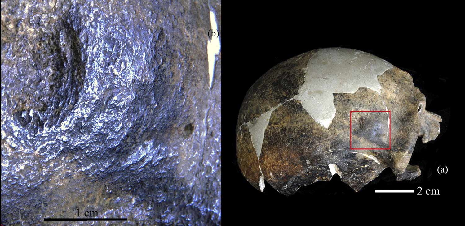 A look at the Maba hominin skull - John Hawks
