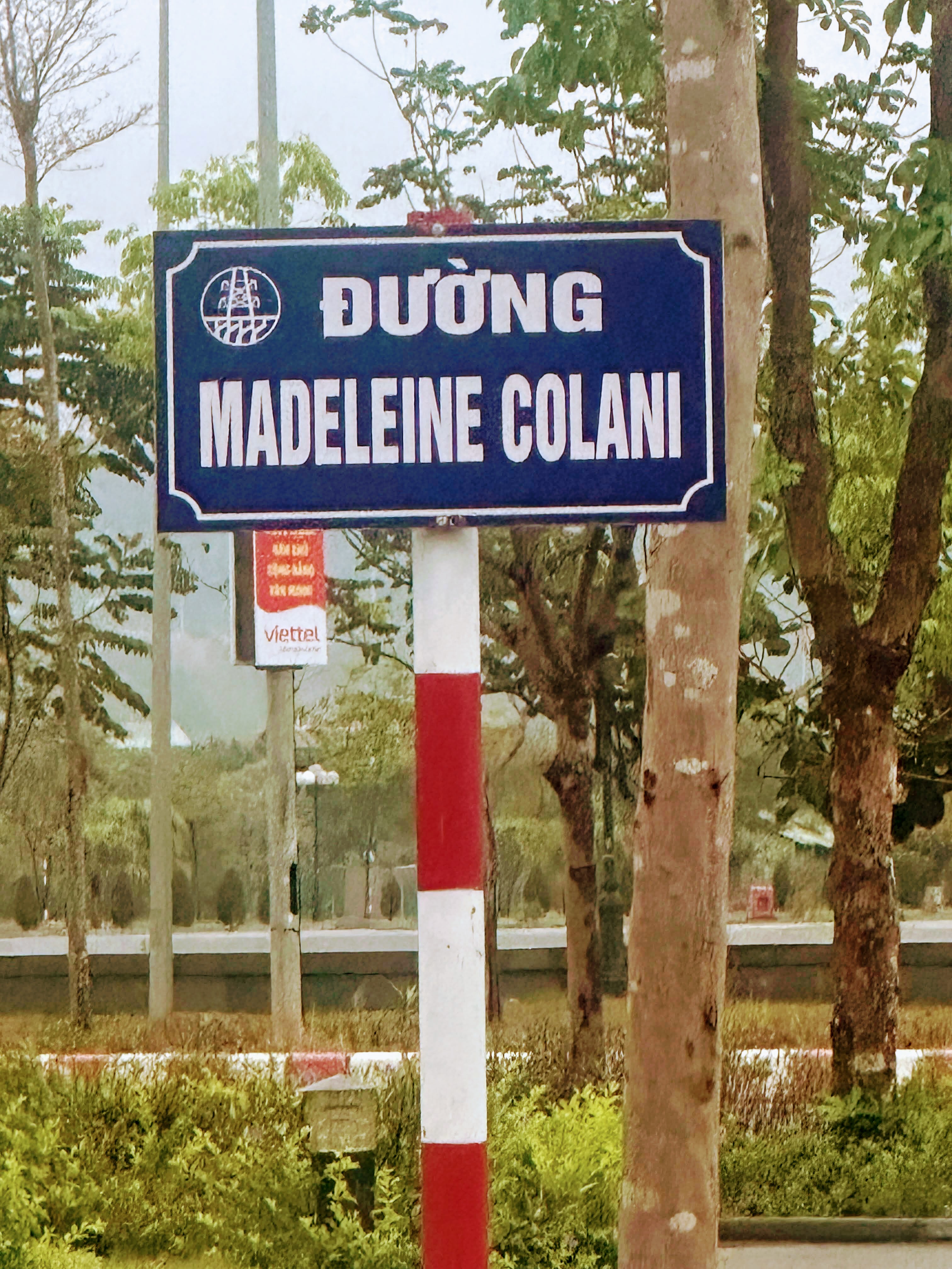 Madeleine Colani Street - by Noel Hidalgo Tan