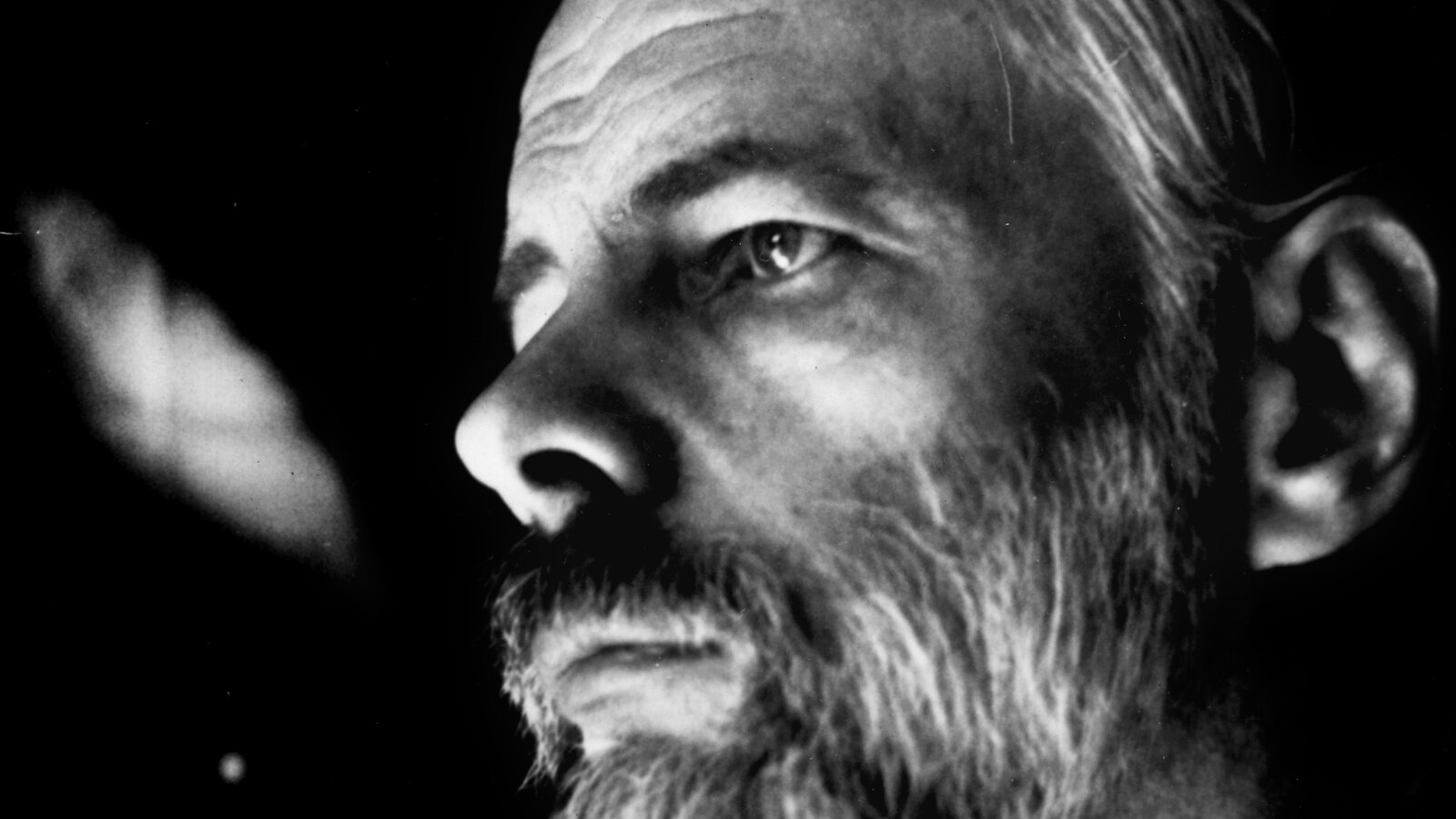 Do Androids Dream of Electric Sheep? - Philip K. Dick and Empathy