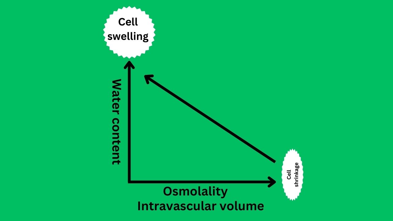 IV fluids - by Maher Alrahamneh, MD - Maher’s Substack