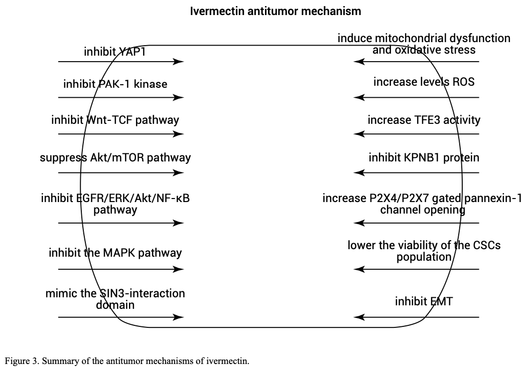 NEW STUDY – Ivermectin Shows Striking Anticancer Potential and ...