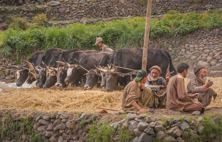 Was Alexander the Great Responsible for Creating Shangri-La in the ...