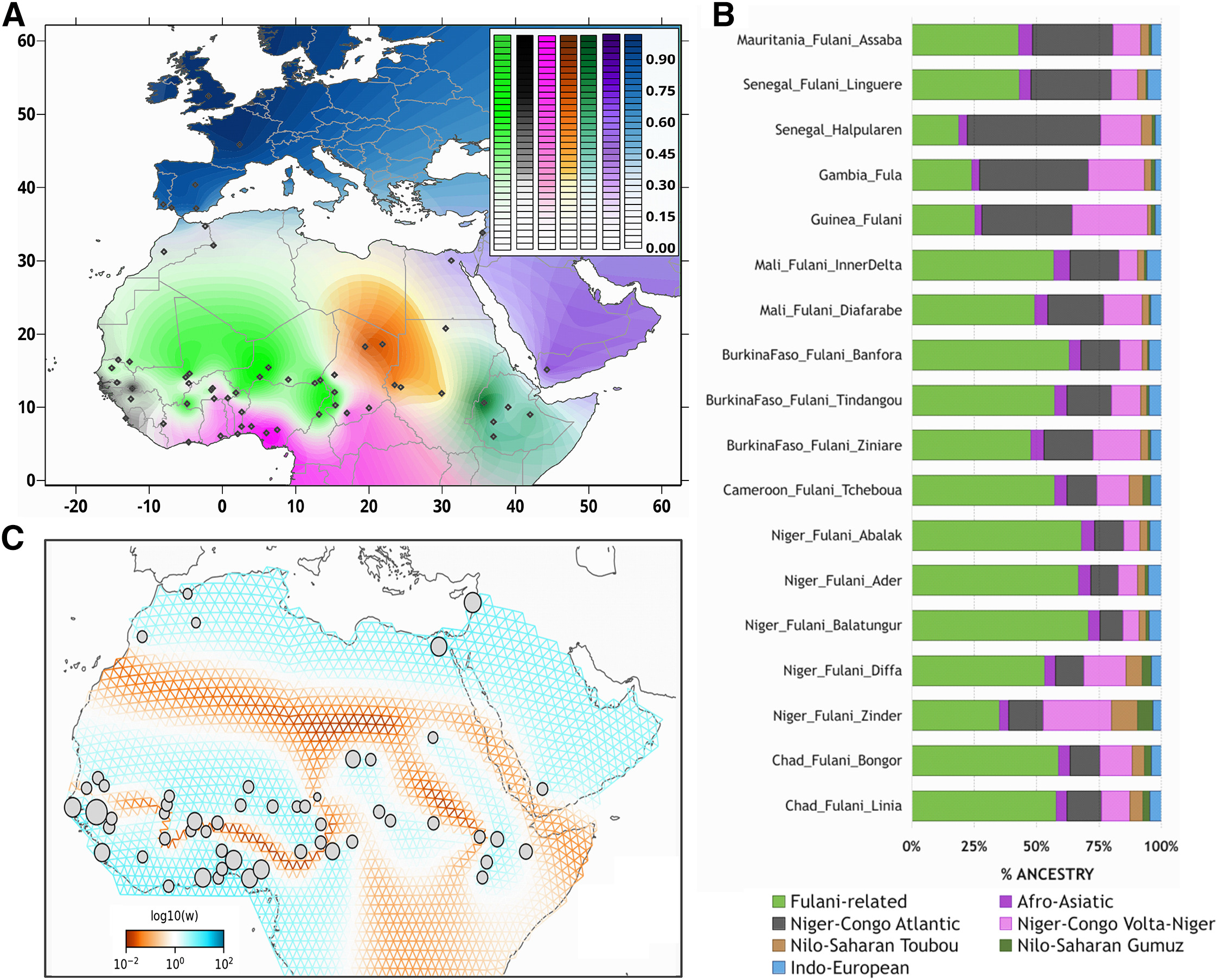 The Fulani Enigma: Unraveling the Deep Genetic History of Africa’s ...
