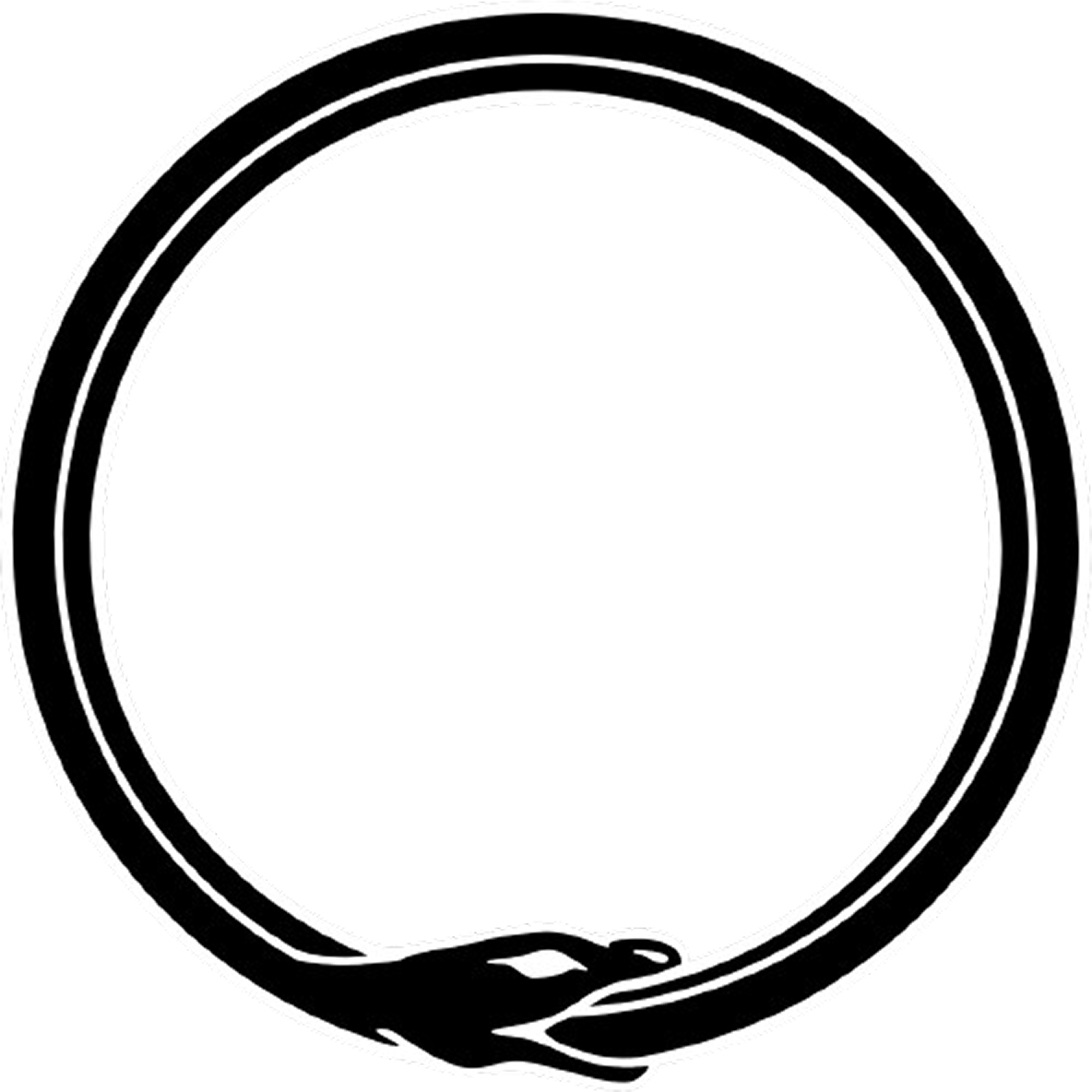 Carl Jung's 4 Stages of Individuation and their Corresponding Archetypes