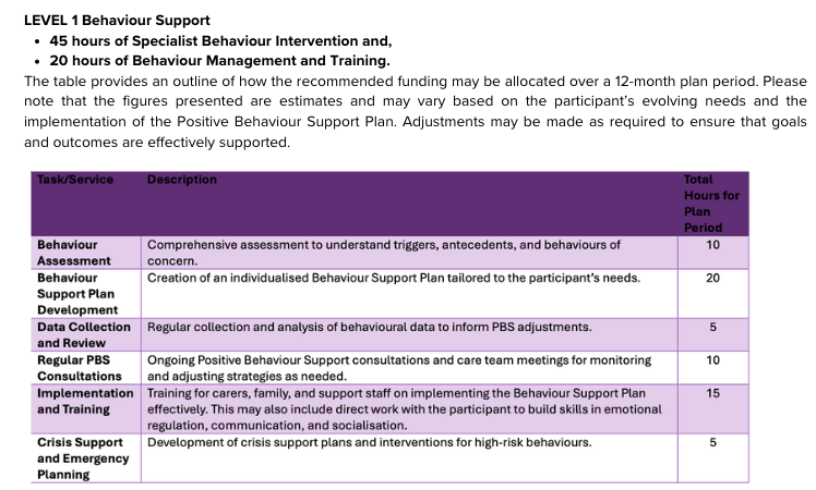 Behaviour Support - The Definitive NDIS Guide - Insight PBS