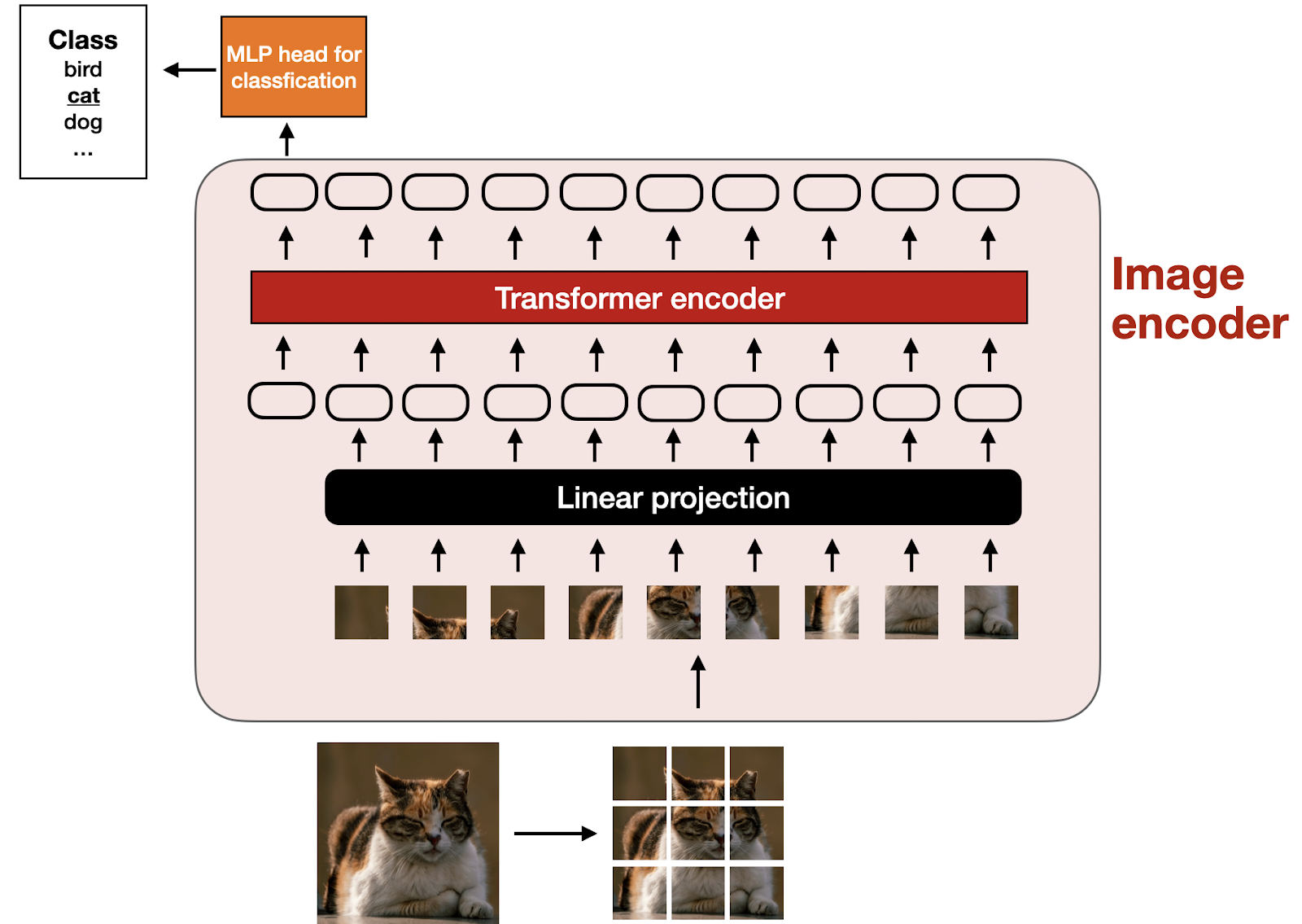 Understanding Multimodal LLMs - by Sebastian Raschka, PhD