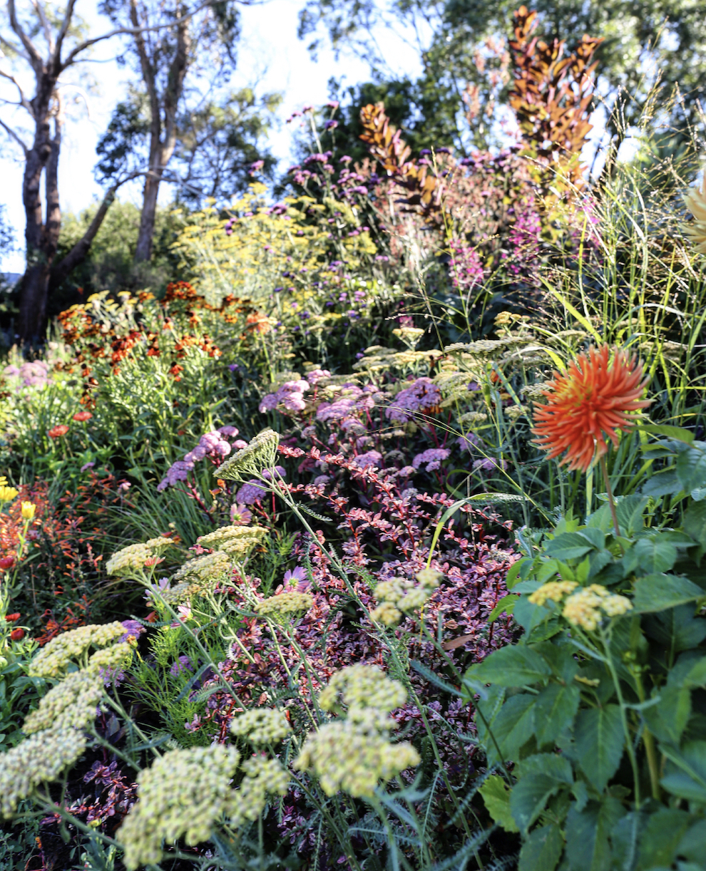 The Garden Gadabout - The Garden at Moorfield