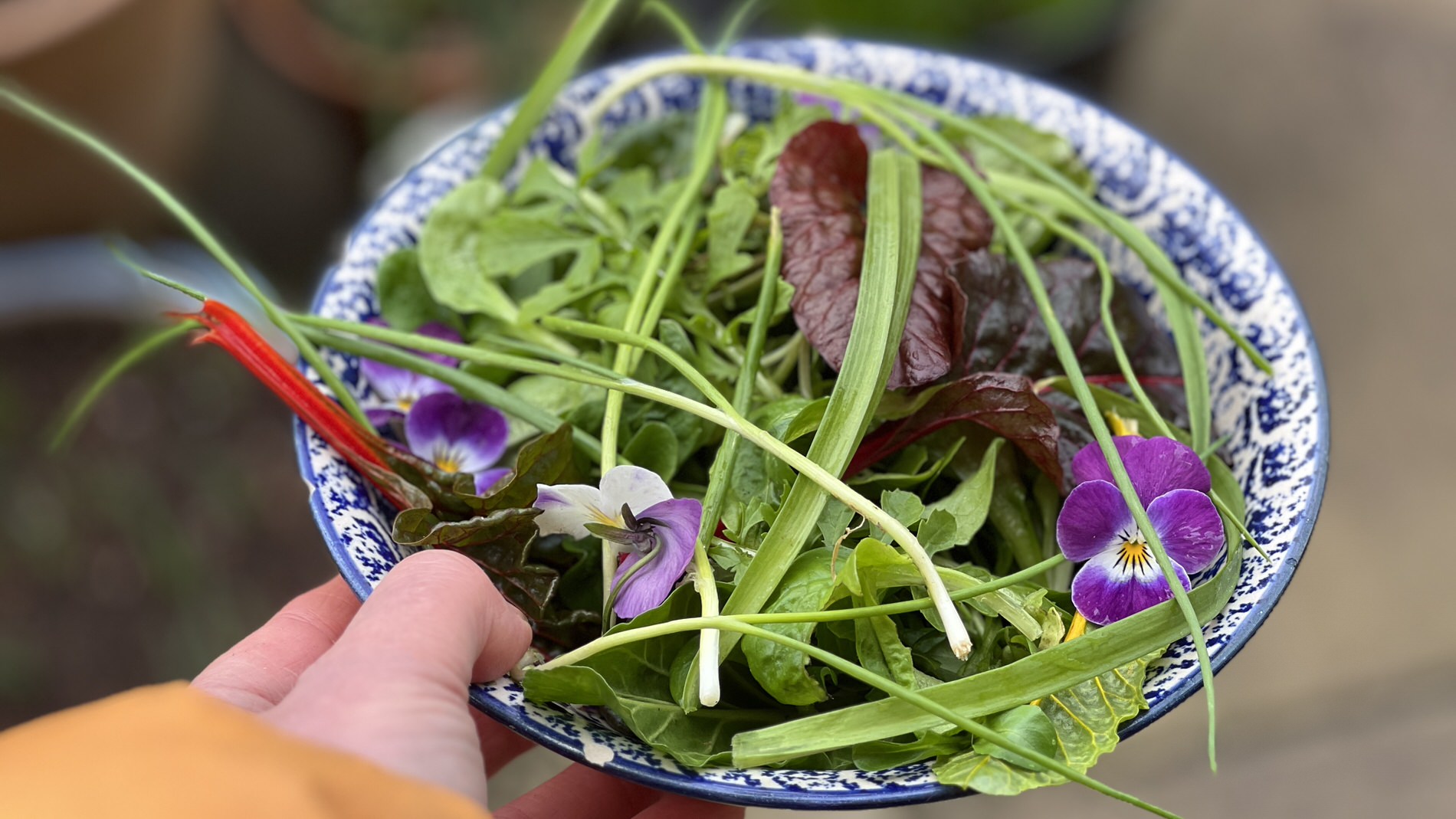 February in the Container Garden: What to Do (and What to Skip!)