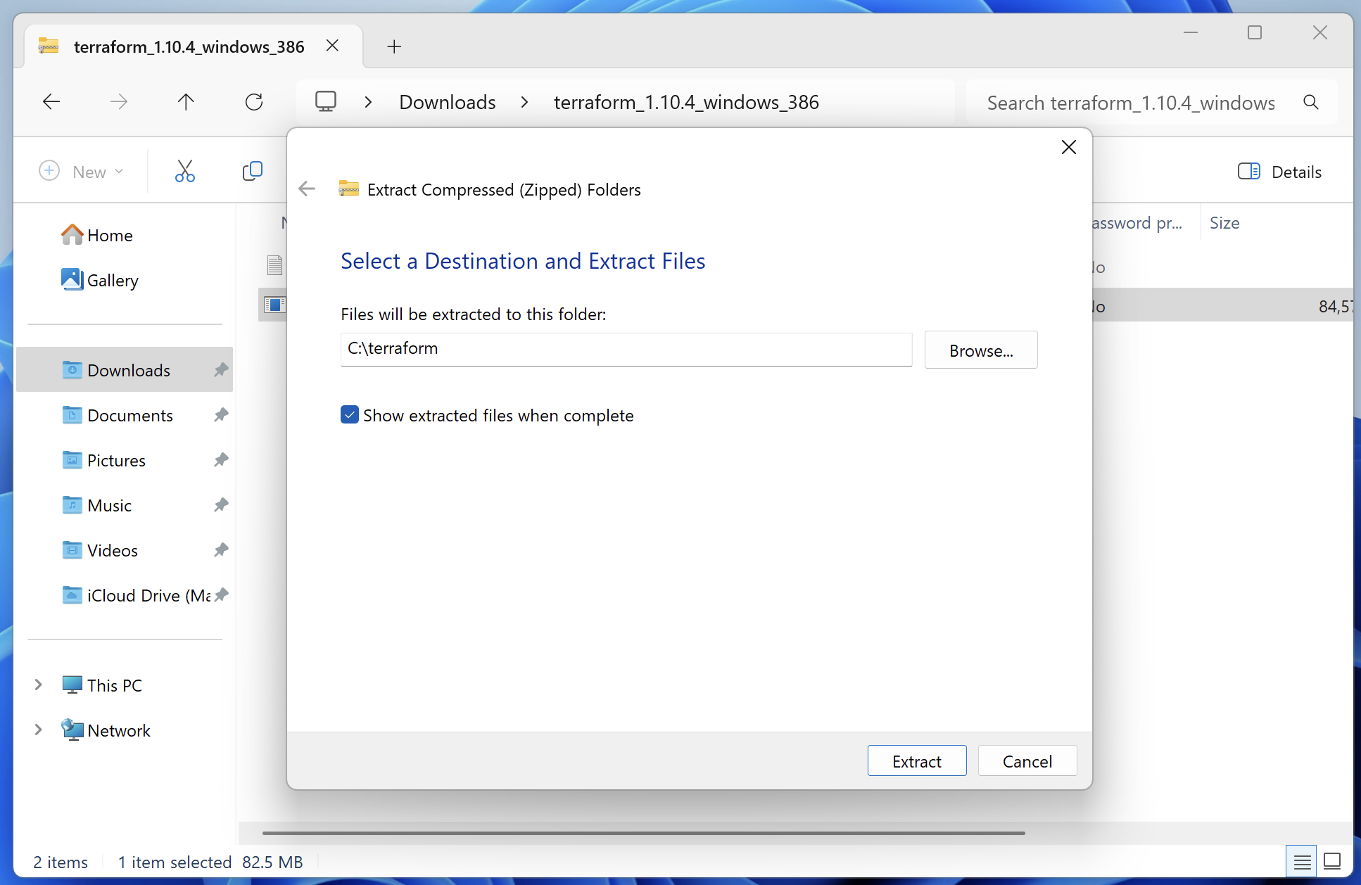 Step By Step Guide To Installing Terraform On Windows