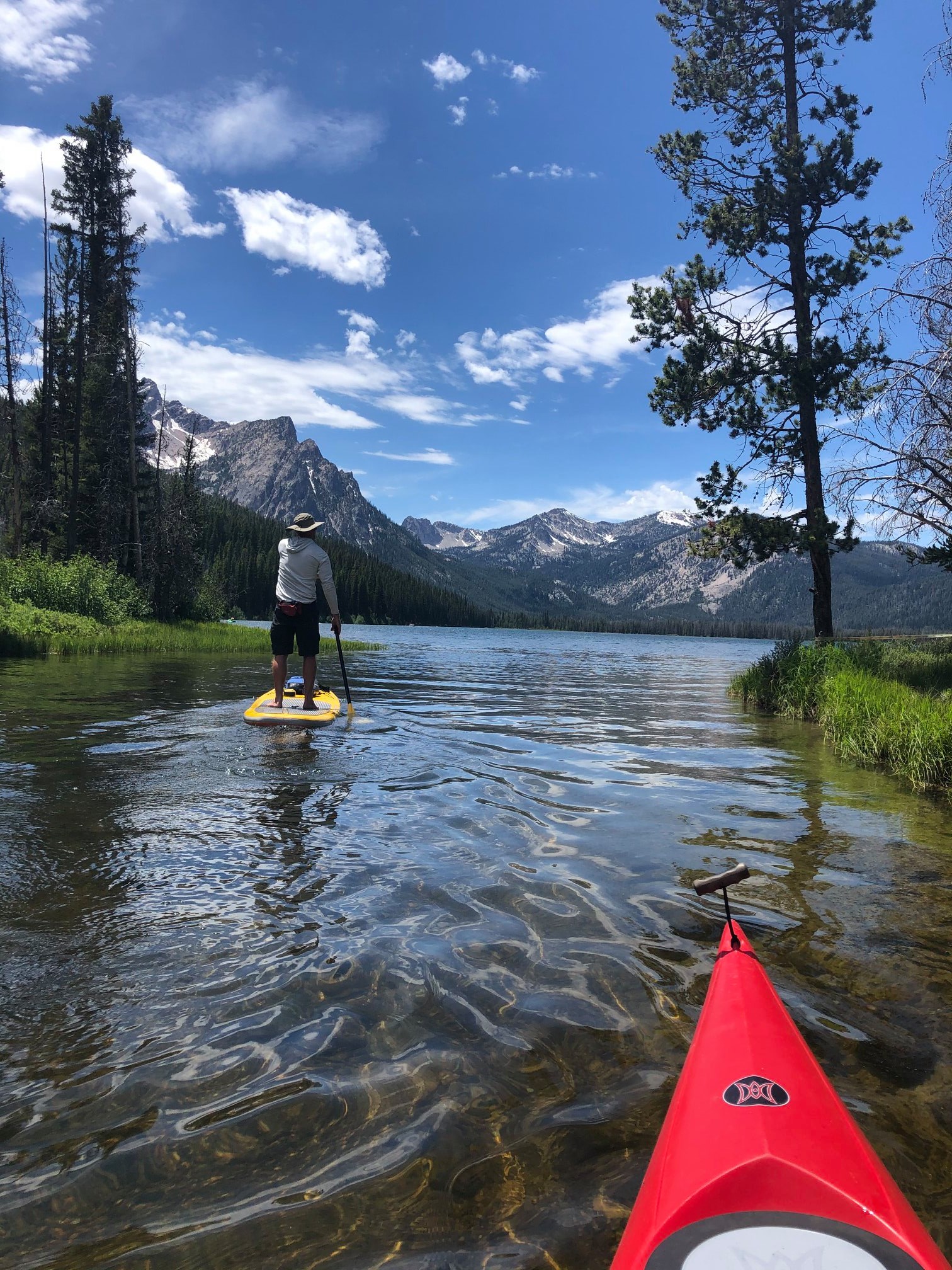 Scott Stillman (@scottstillman): "one day you'll realize that no one ...