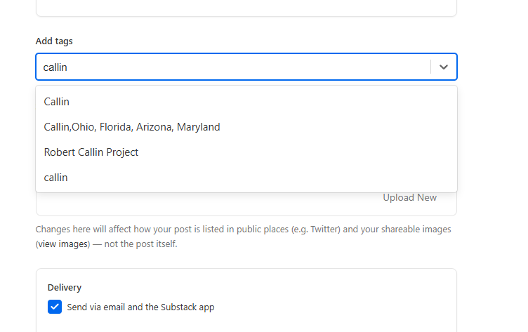 Tip: Using Tags on Substack - Mightier Acorns